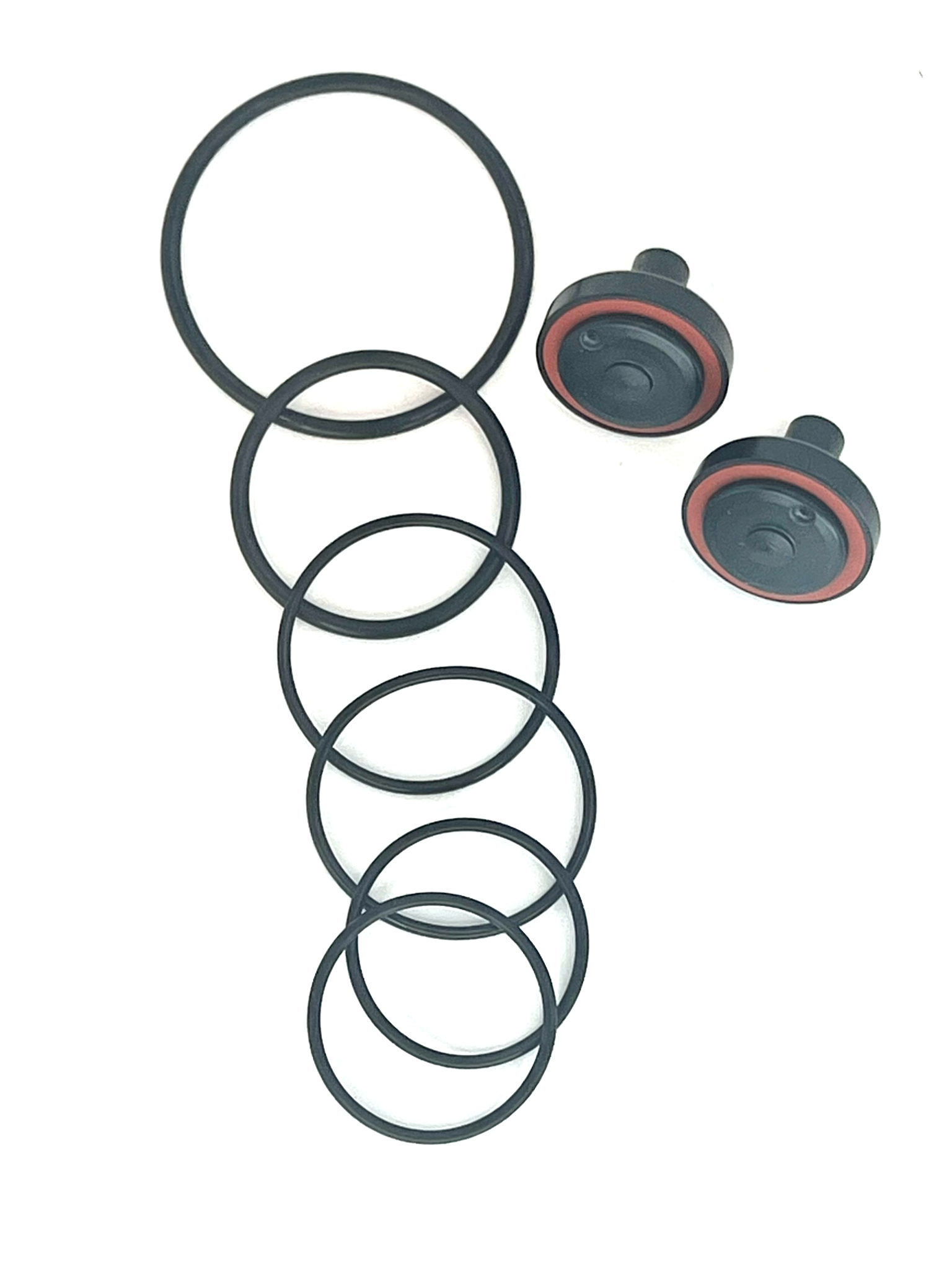 Watts 007-M3 3/4" 888552 RK-007 Rubber Repair Kit – CDA Backflow Supply